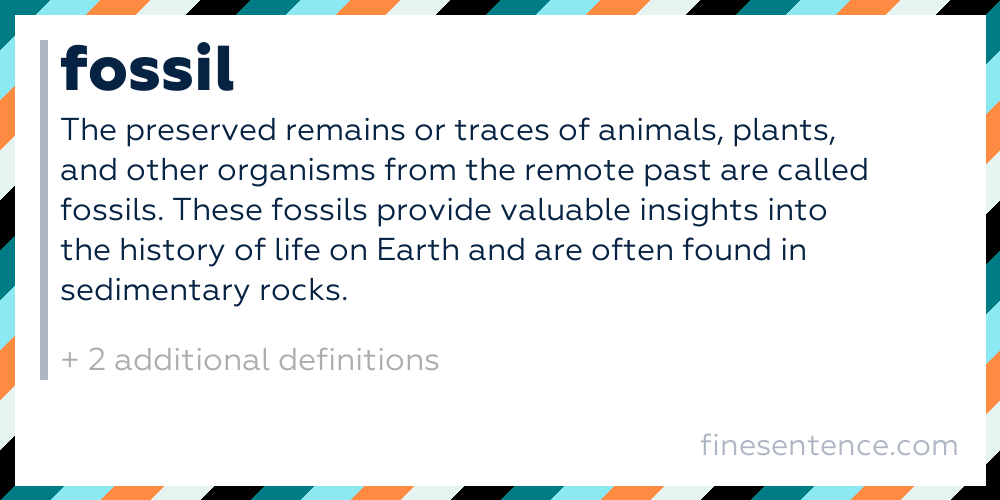 Fossil - Definition, Meaning, and Examples in English