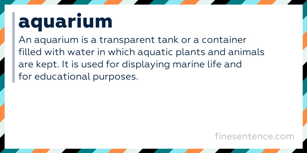 Aquarium - Definition, Meaning, and Examples in English