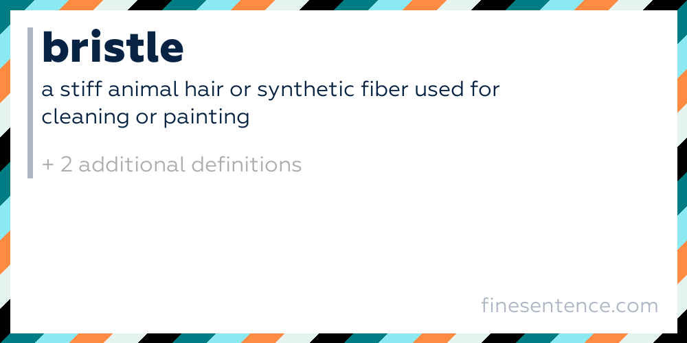 Bristle: meaning, definitions, translation and examples