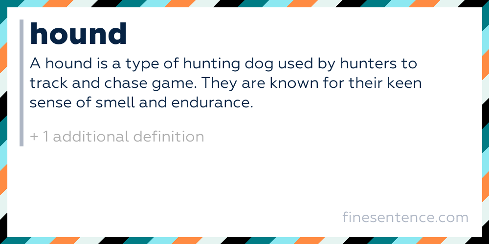 Hound - Definition, Meaning, and Examples in English