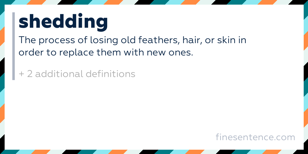 Shedding - Definition, Meaning, and Examples in English