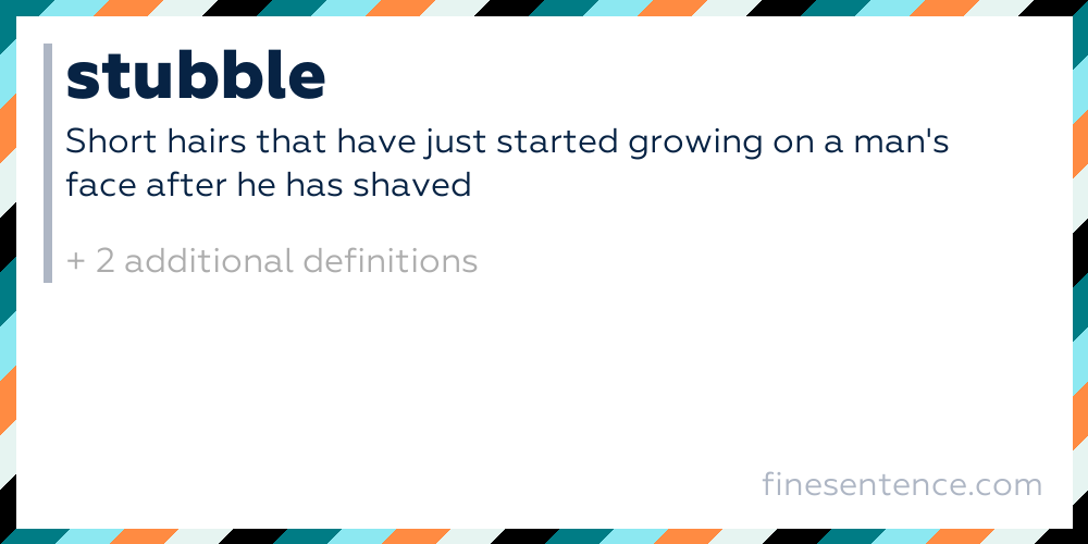 Stubble - Definition, Meaning, and Examples in English