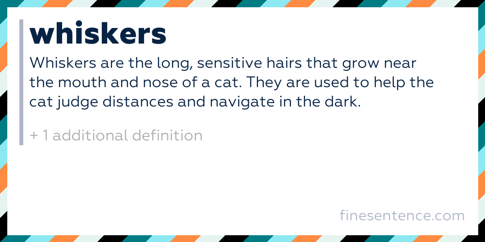 Whiskers - Definition, Meaning, and Examples in English